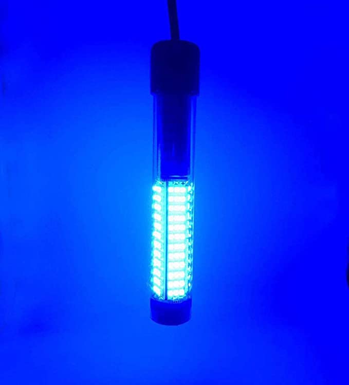 Blue LED 12V Tank Light - TPWS Tampa